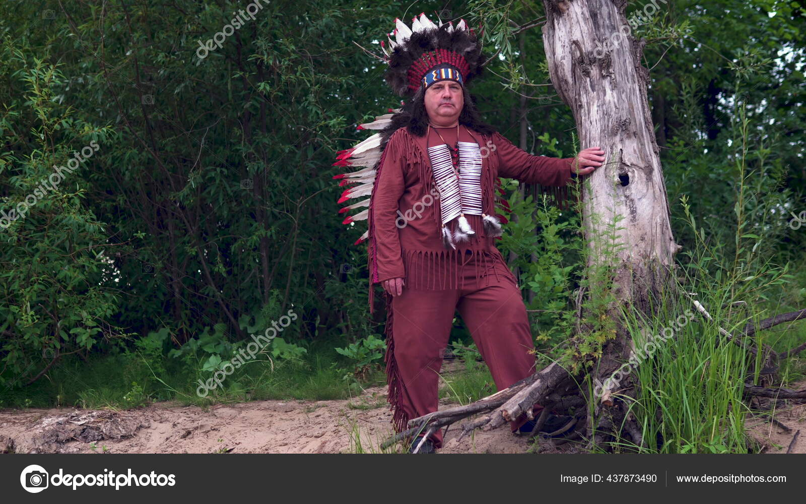Old Native American Indians stands by a dry tree. Background of the ...