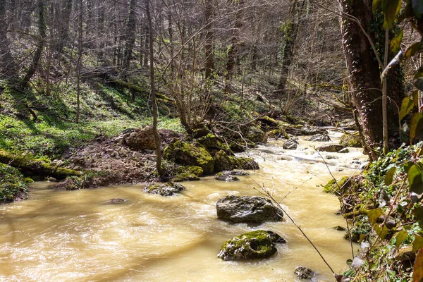 Spring, mountain streams, overflowing with meltwater, turn into ...