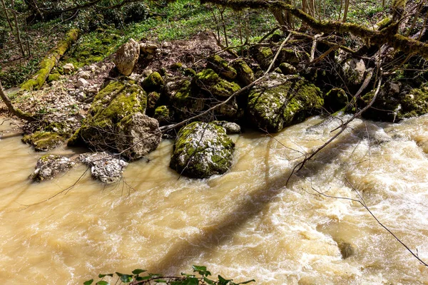 Spring, mountain streams, overflowing with meltwater, turn into ...