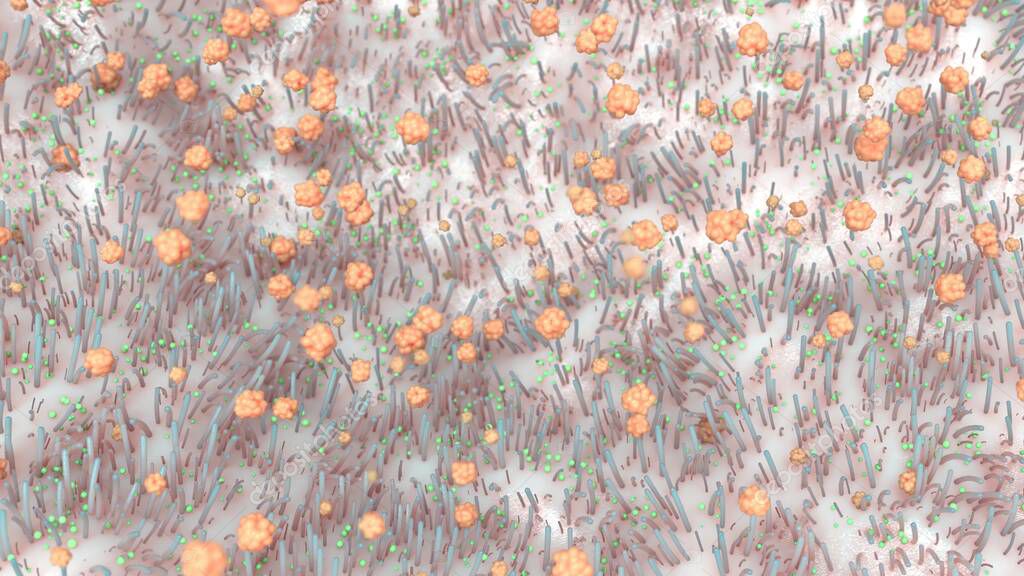 una imagen sobre el tema de la microbiología y las diferentes formas ...