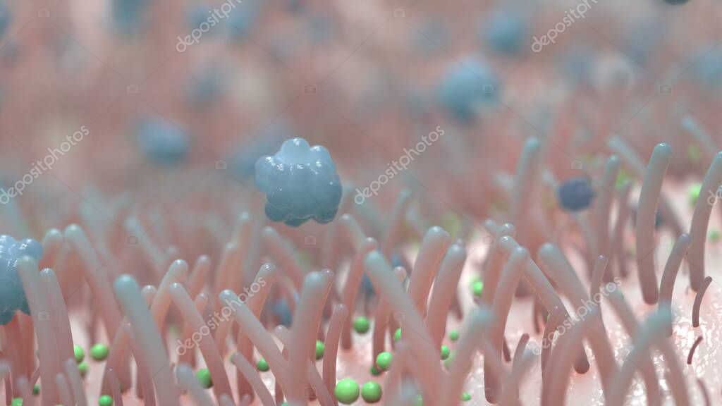 una imagen sobre el tema de la microbiología y las diferentes formas ...