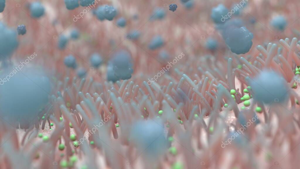 una imagen sobre el tema de la microbiología y las diferentes formas ...