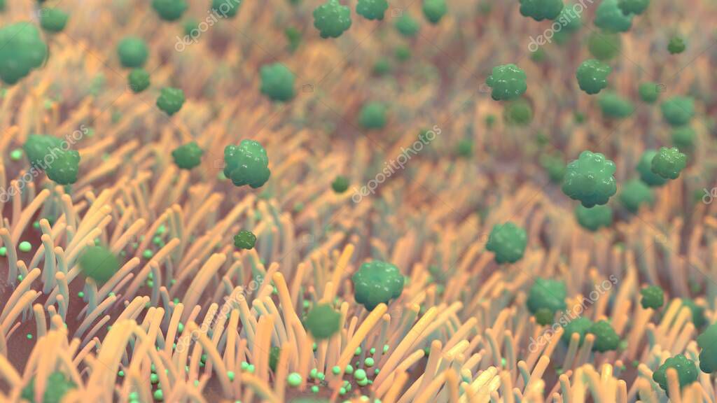 una imagen sobre el tema de la microbiología y las diferentes formas ...