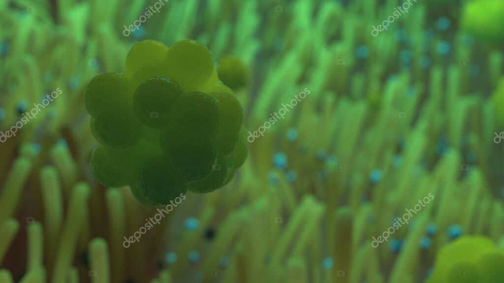 una imagen sobre el tema de la microbiología y las diferentes formas ...