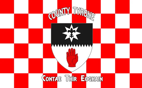 Flag of County Tyrone is a county in Ireland — Stock Photo © zloyel ...