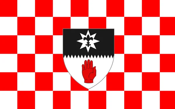 Flag of County Tyrone is a county in Ireland — Stock Photo © zloyel ...