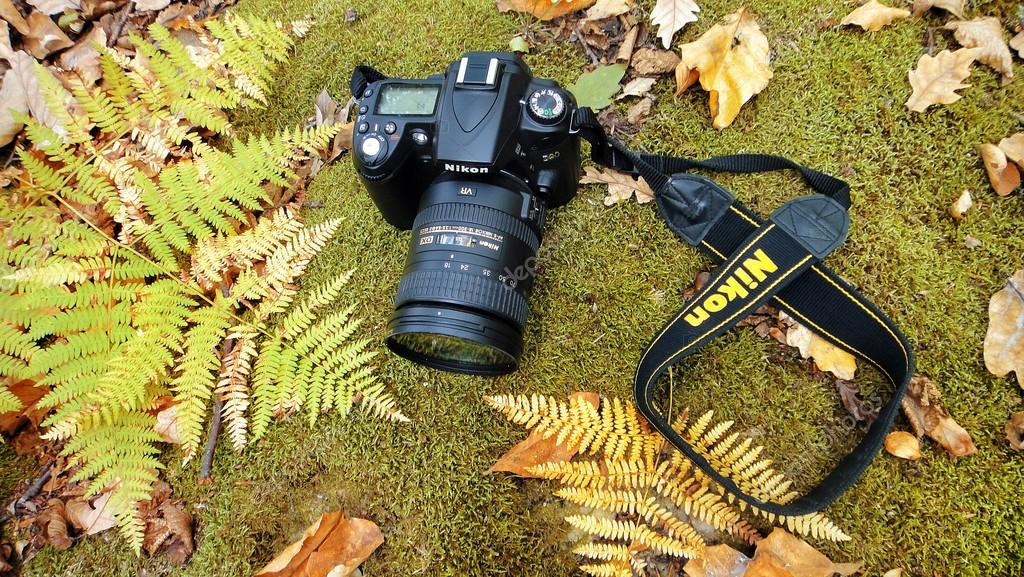 The camera in the fall — Stock Photo © zloyel #90306546