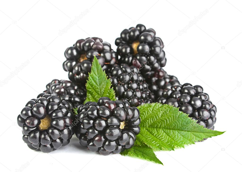 White Blackberry Fruit