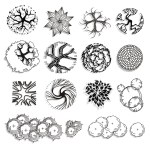 A set of treetop symbols, for architectural or landscape design Stock ...