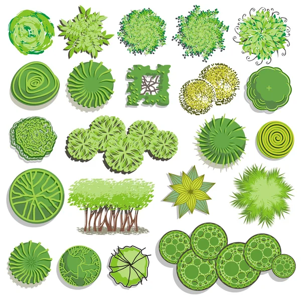 Hedge plan view Vector Art Stock Images | Depositphotos