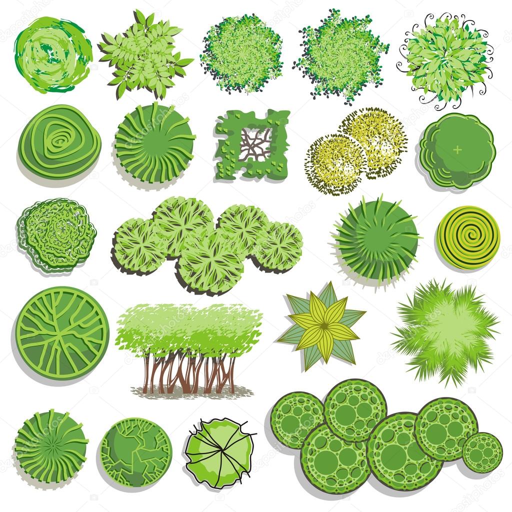 Trees and bush item top view for landscape design, vector icon. — Stock ... Trees and bush item top view for landscape design, vector icon. — Stock ...