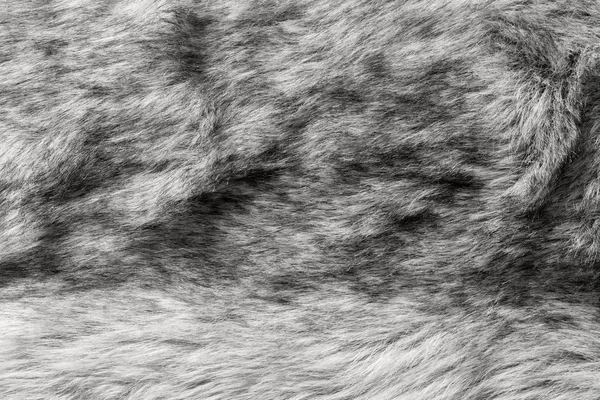 abstract texture of gray fur fabric - Stock Image - Everypixel
