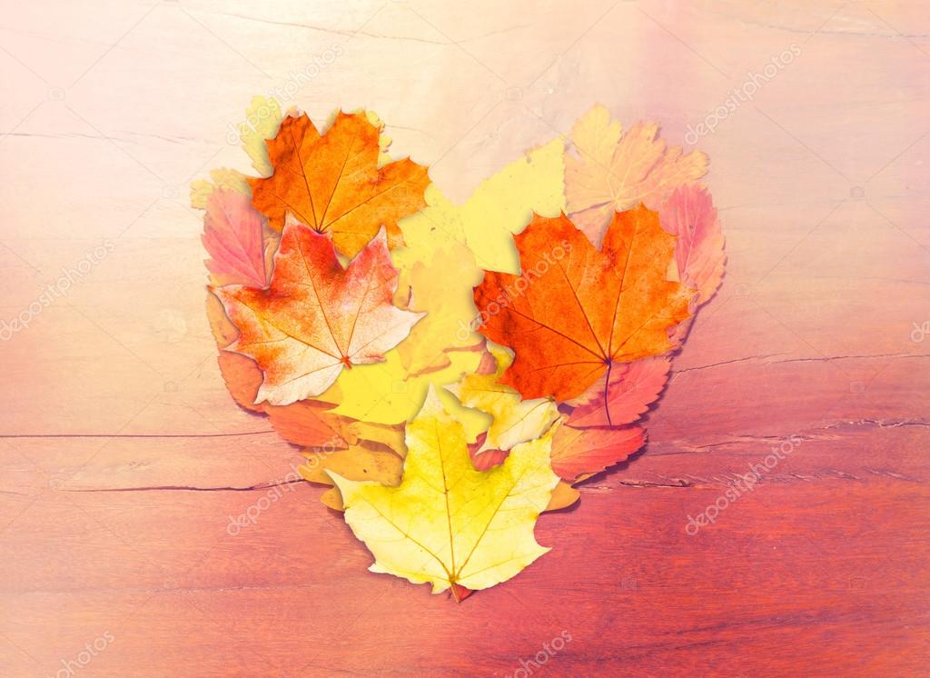 Heart Shaped Leaves Stock Photo by ©oporkka 109399358