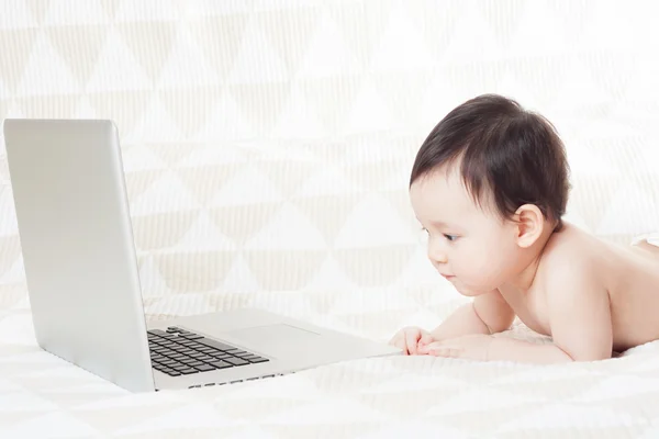 A baby using laptop Stock Photos, Royalty Free A baby using laptop ...