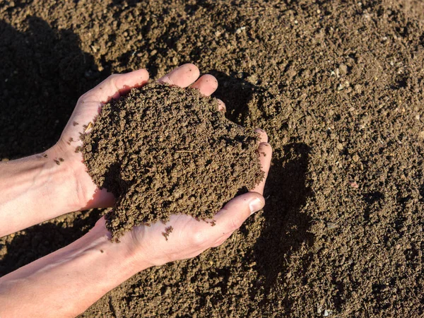 Hands holding soil Stock Photos, Royalty Free Hands holding soil Images ...