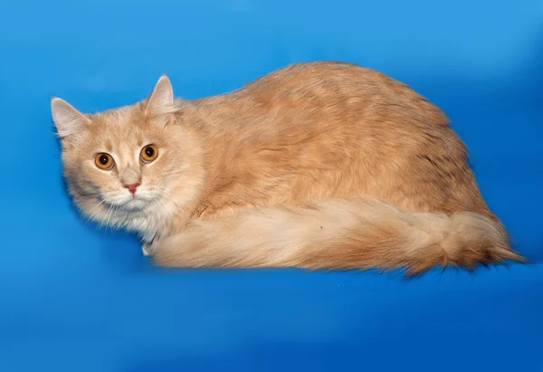 Katupat Stock Photos, Royalty Free Katupat Images | Depositphotos