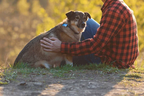 7,000,000+ imágenes de Thad huston and humane libres de derechos ...