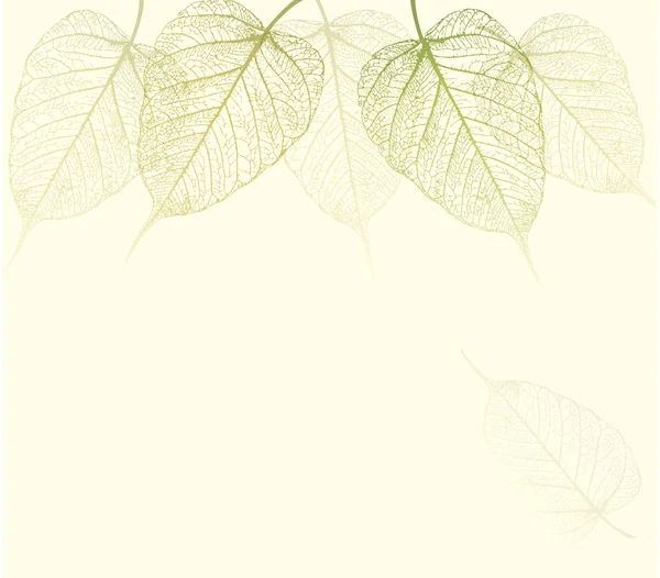 Fresh leaves background Vector Art Stock Images | Depositphotos