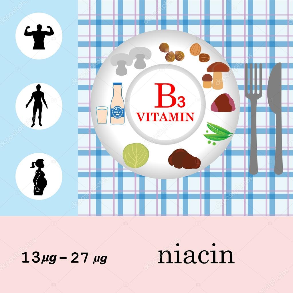 Infografía nutricional de la vitamina B3 2023