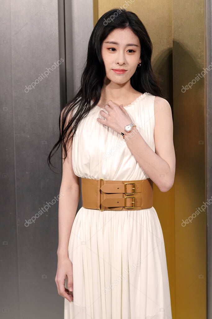 El cantante chino Zhang Bichen, también conocido como Diamond Zhang, asiste a la recepción de ...