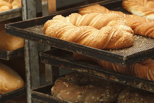 Bakery products in bakery shop - Stock Image - Everypixel