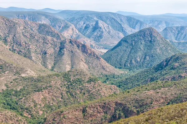 Valley of baboon valley Stock Photos, Royalty Free Valley of baboon ...