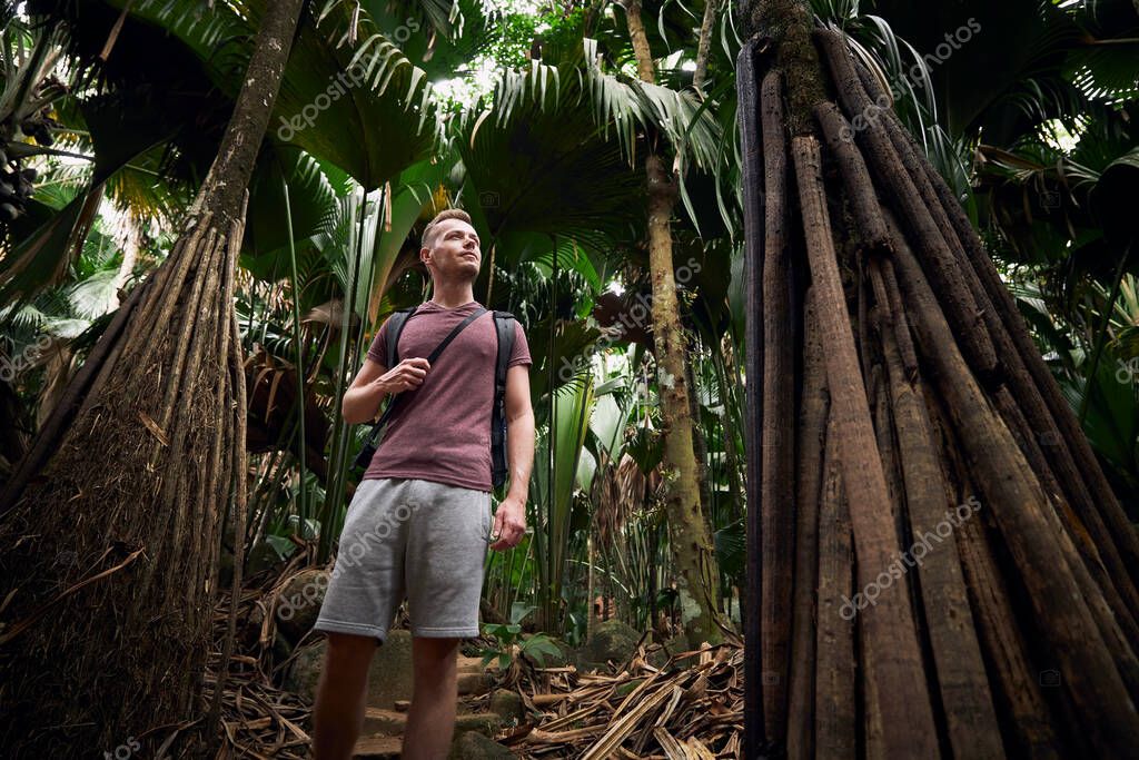 Un joven con mochila descubriendo la selva. Viajero en selva tropical ...