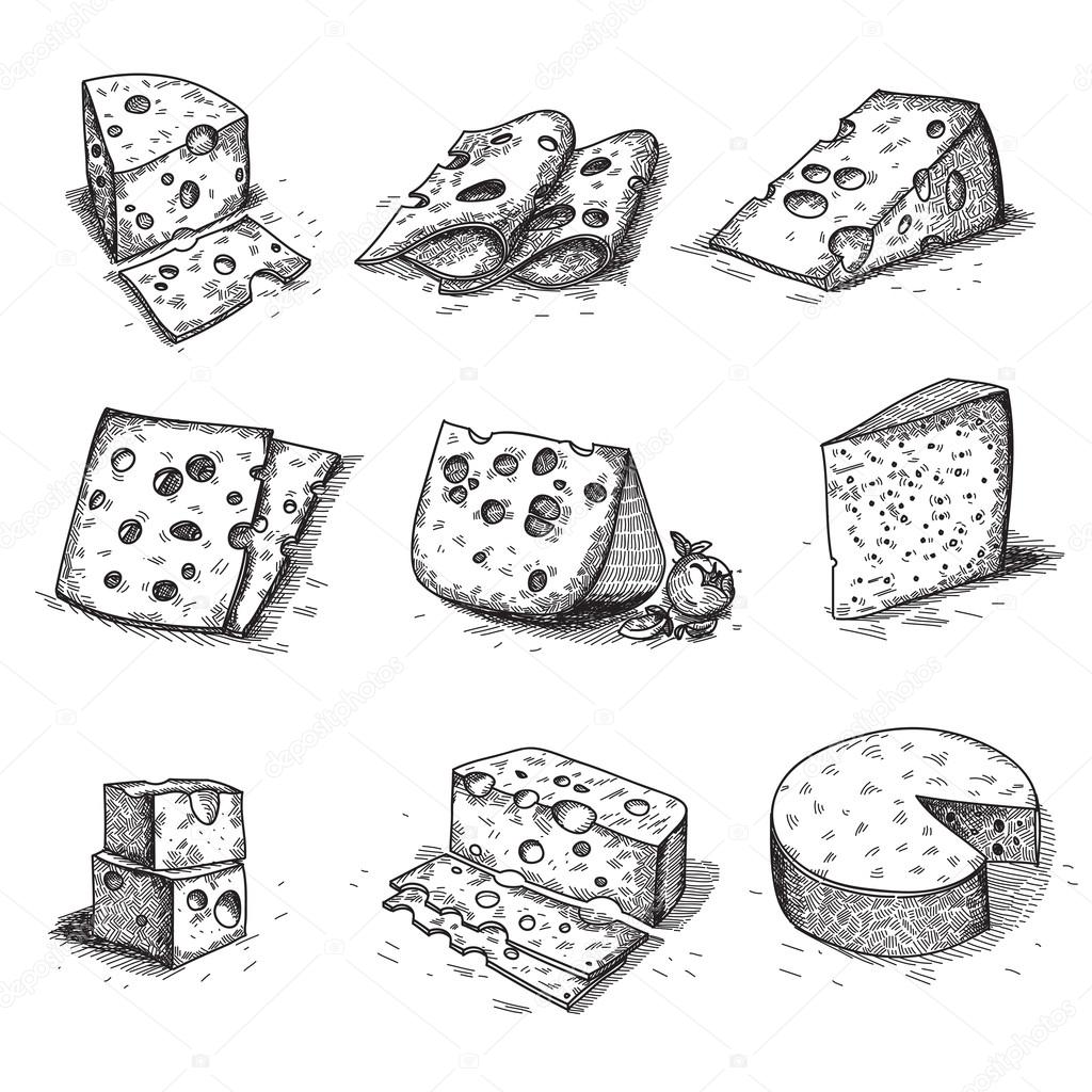 Cheese Sketch