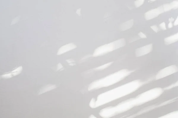 Superposición de sombra natural sobre fondo de textura blanca, para ...