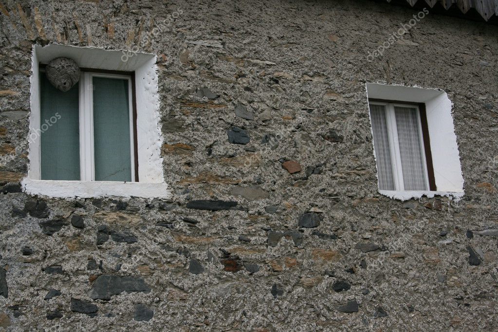Window with wasp's nest Stock Photo by ©fotofrankts 52246703