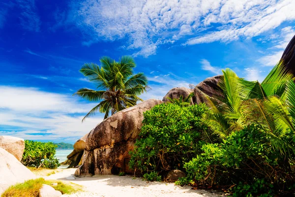 Tropical beach hd wallpaper 68 Stock Photos, Royalty Free Tropical ...