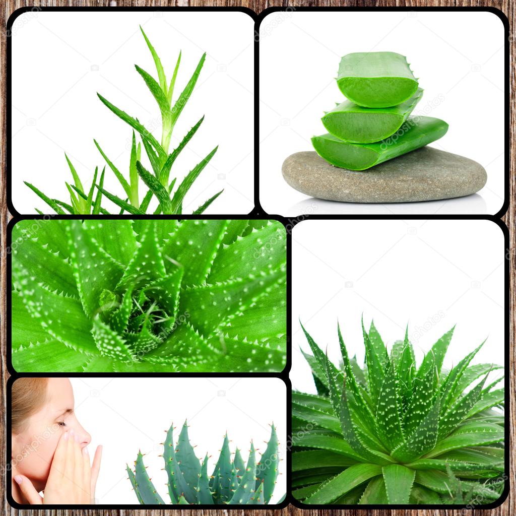 Colorful collage of facial treatment — Stock Photo © Vitaly.R #68936863