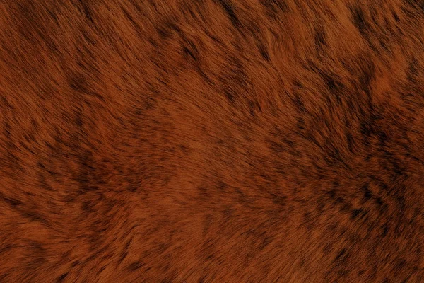 Fur Animal Textures, Brown Bear - Stock Image - Everypixel
