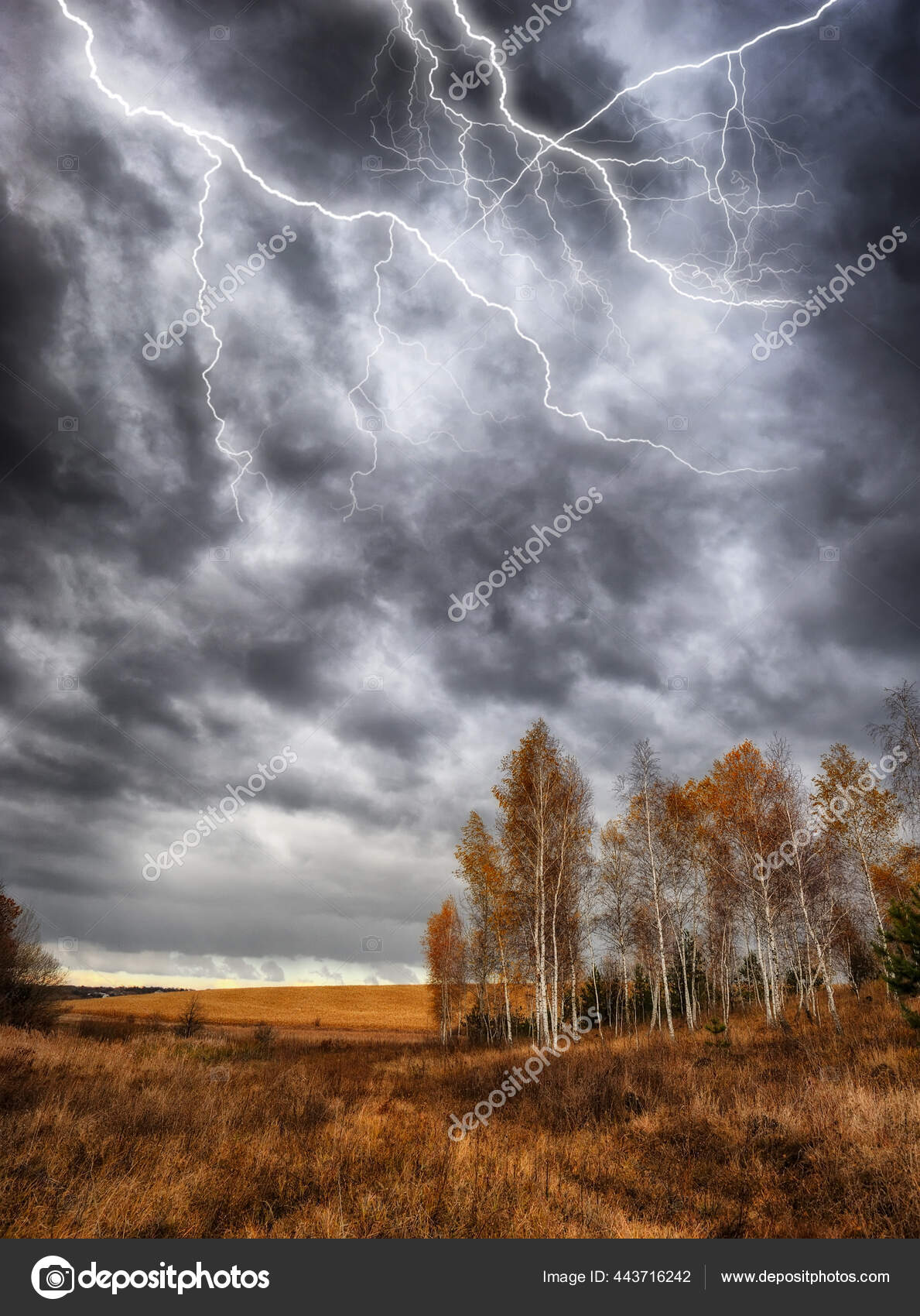 Lightning Meadow Stormy Sky Rural Landscape — Stock Photo © serg-nester ...