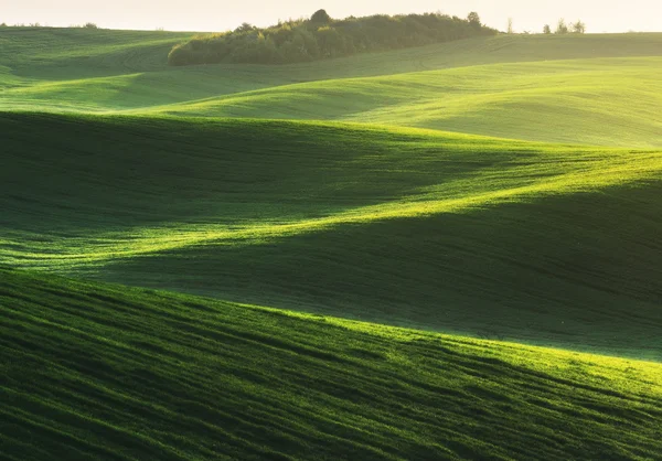 Rolling Green Hills
