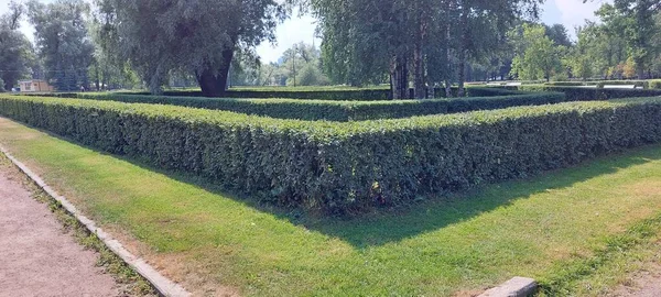 Labirintus park images libres de droit, photos de Labirintus park ...