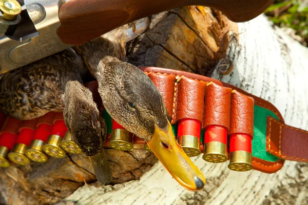 Gun, duck and hunting ammunition - Stock Image - Everypixel