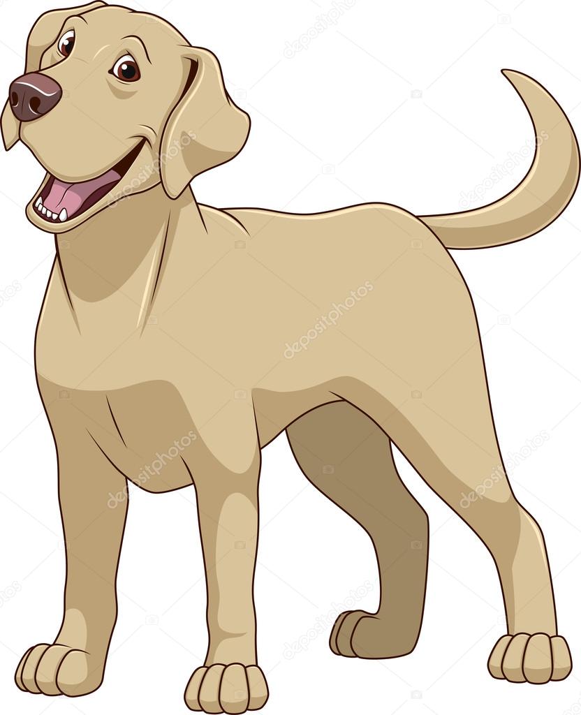 Labrador Dog Clipart Cute