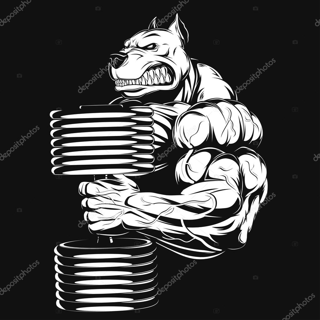 Strong dog — Stock Vector © Andrey_Makurin #73016713