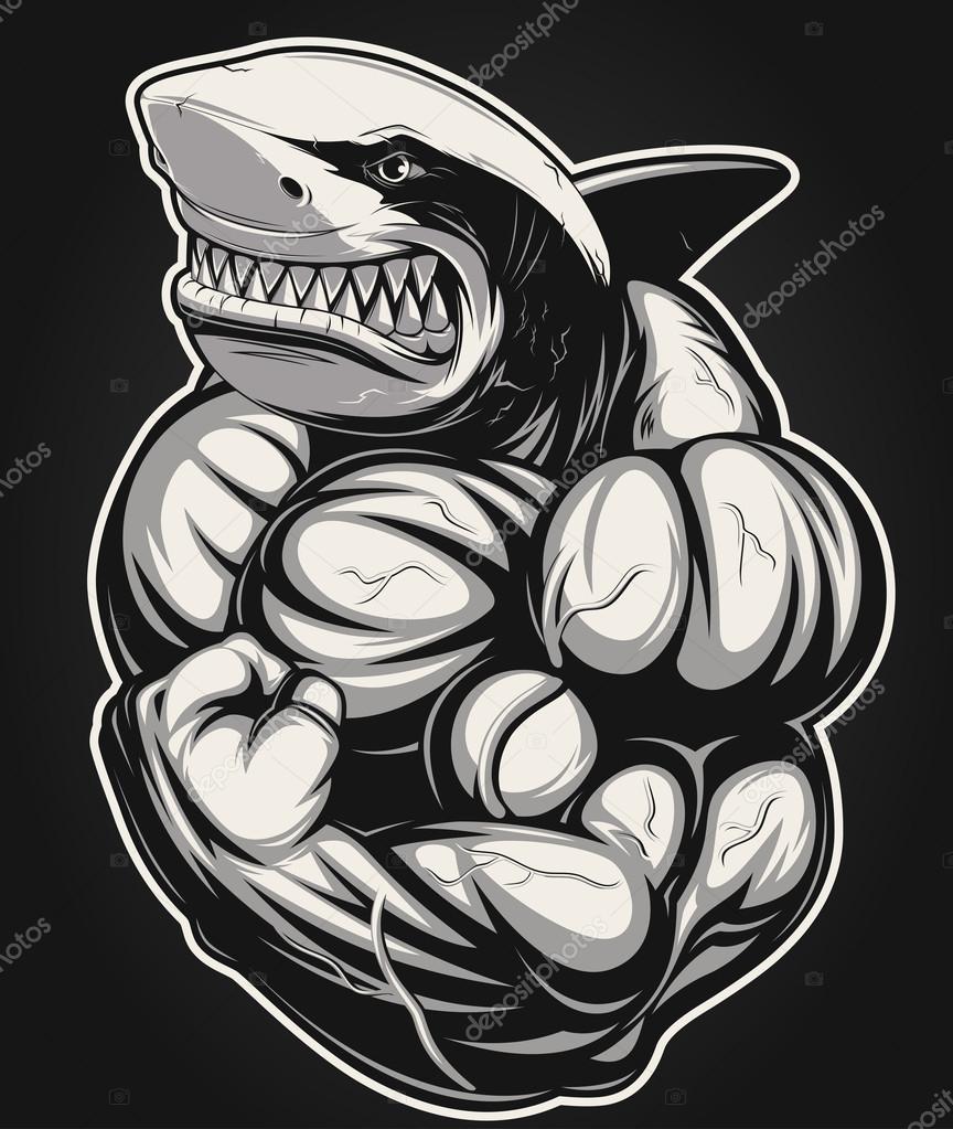 White shark bodybuilder Stock Vector Image by ©Andrey_Makurin #88778262