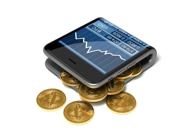 Bitcoin Physical Wallet