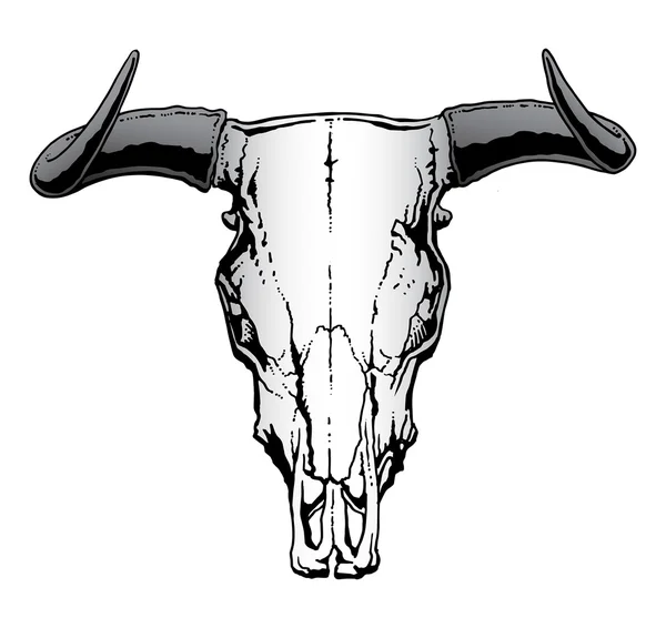 878 Steer skull Vectors - Free & Royalty-free Steer skull Vector Images ...