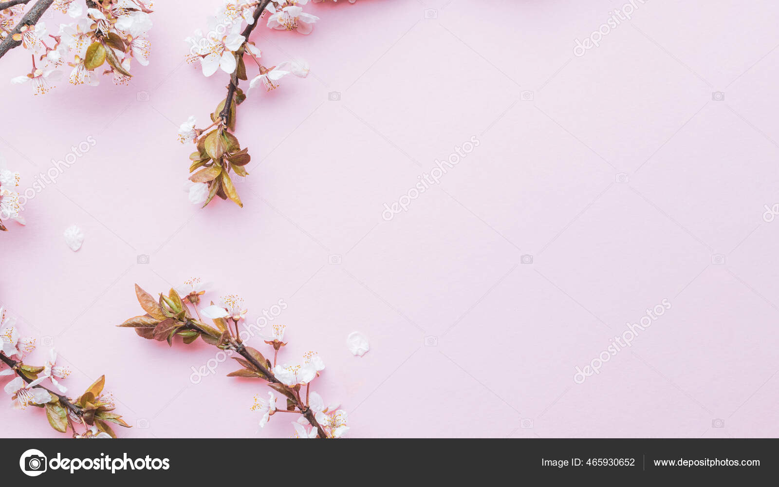 May Flowers Background