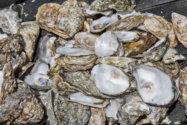 Oyster shells Stock Photos, Royalty Free Oyster shells Images ...