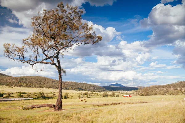 Aussie landscape Stock Photos, Royalty Free Aussie landscape Images ...