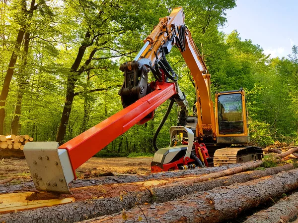 Harvester machine felling forest. Mechanical lumberjack. Tracked ...