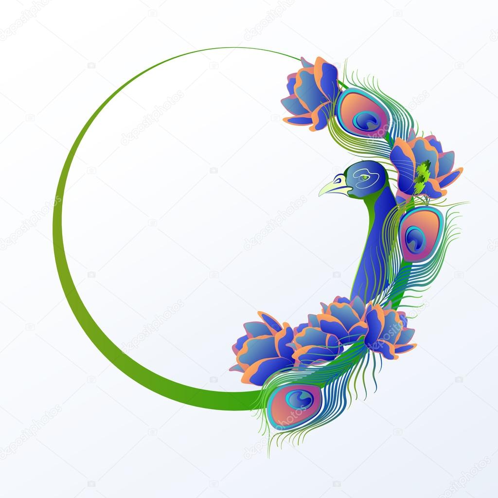 Peacock feathers and flowers Stock Vector Image by ©Ekaterina88 #71412435