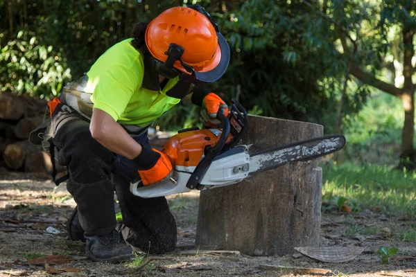 woman lumberjack or forest worker cutting tree trunk with chainsaw ...