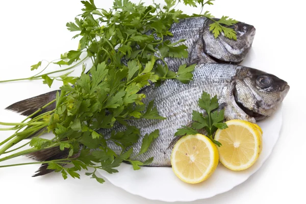 Fresh fish on plate Stock Photo by ©tetxu 37663001