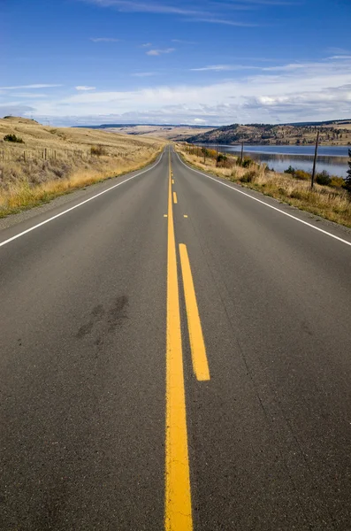 Straight country highway with yellow markings - Stock Image - Everypixel